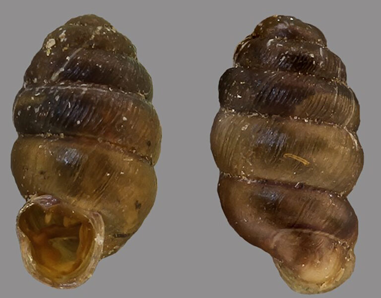 Le Vertigo étroit - CEN Paca