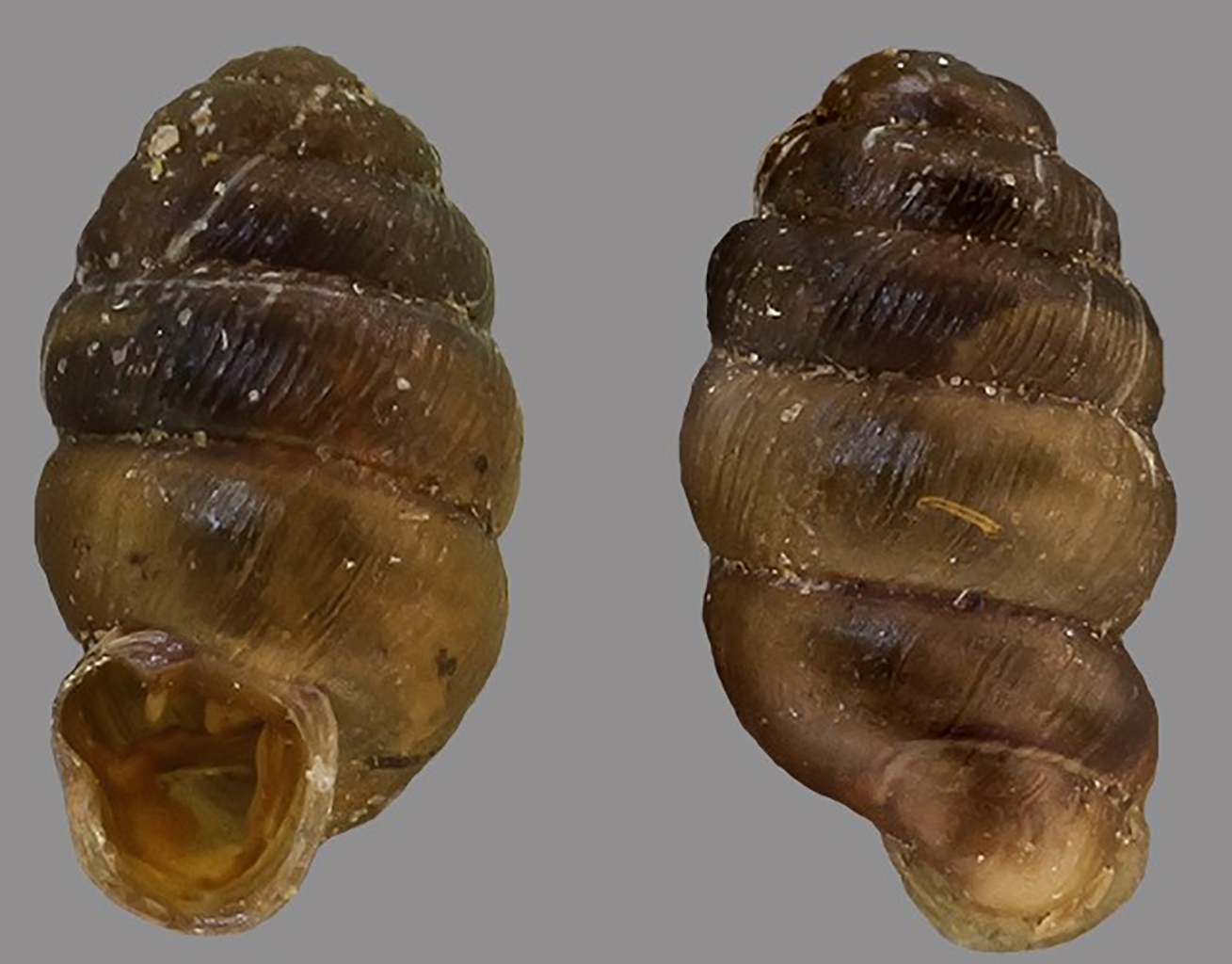 Le Vertigo étroit - CEN Paca