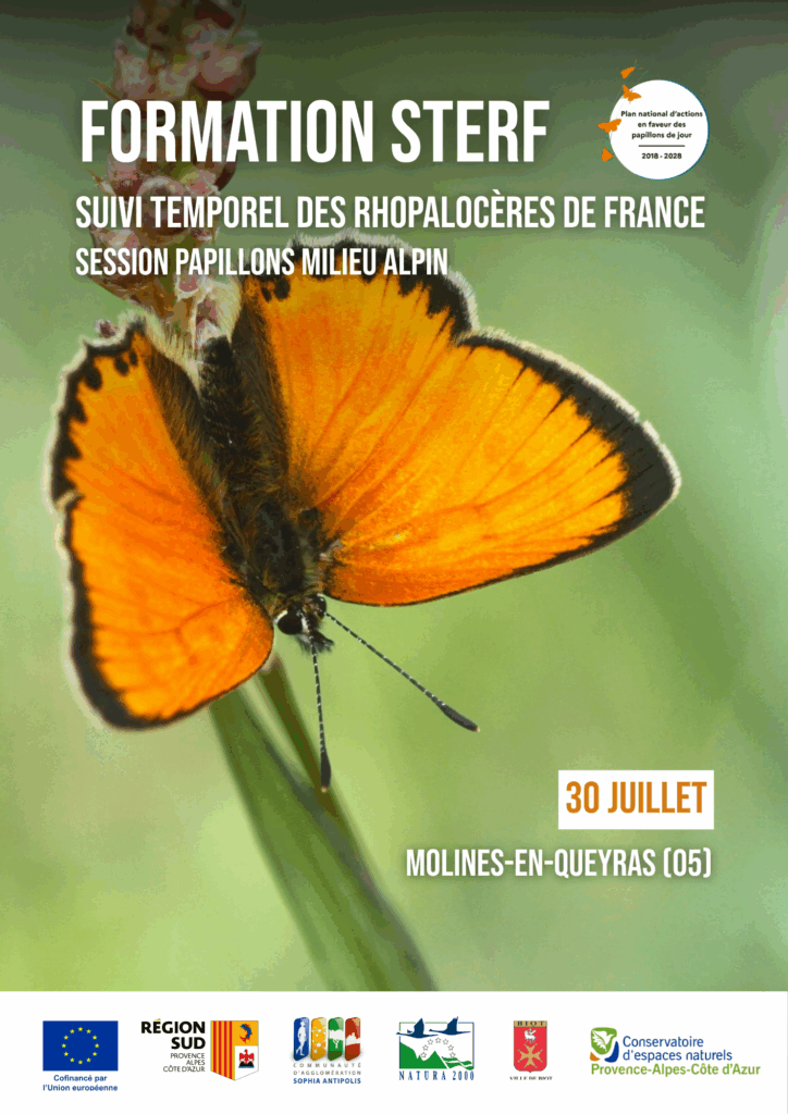 Formation STERF - Papillons en milieu alpin - CEN Paca
